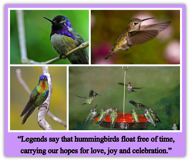 Gillowbugs & Daisy Tales: "Hummingbird Legend -- Papyrus"