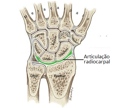 O Guia do Fisioterapeuta