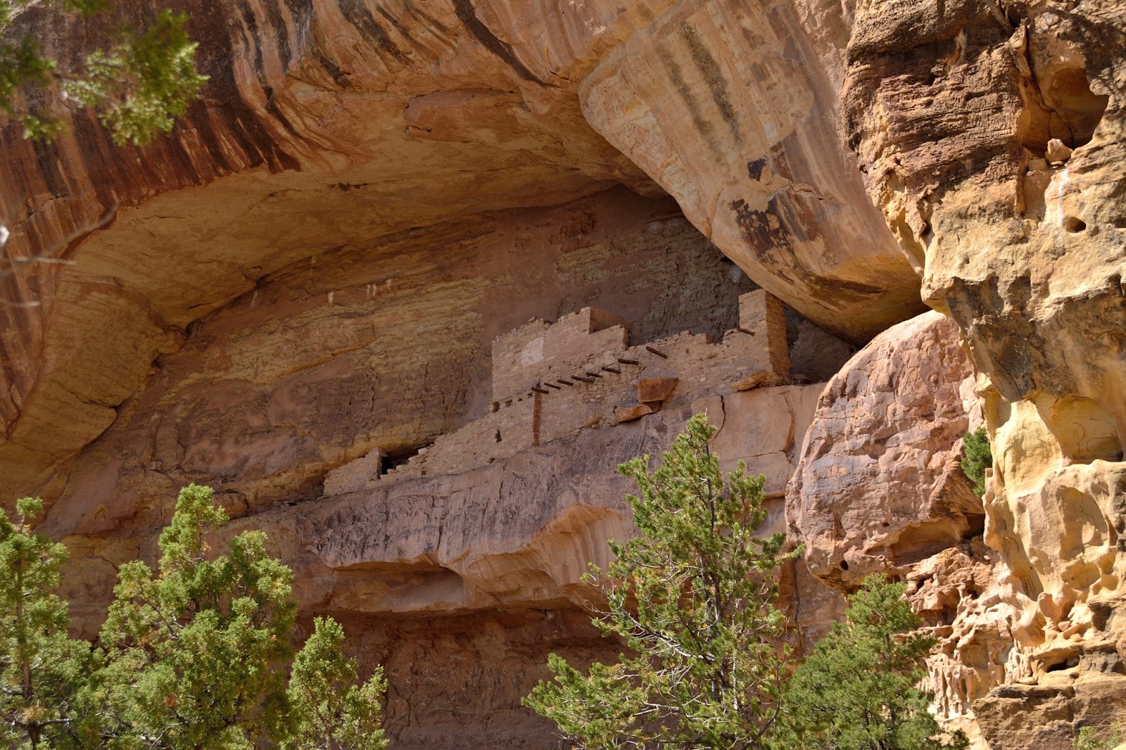 Hiking and Camping Southwest Colorado: Mancos Canyon