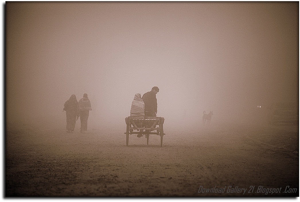 Sunrise of Bangladesh Winter Morning Desktop Picture Gallery Free Download