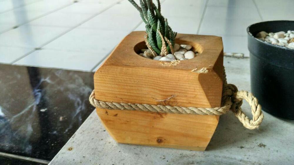 Pot Bunga Dari Kayu: Pot Kayu Dari Pinewood Untuk Tanaman Minimalis