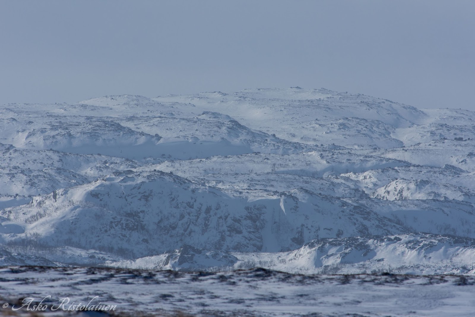Tervastulia: Varanginvuonolla valokuvaamassa