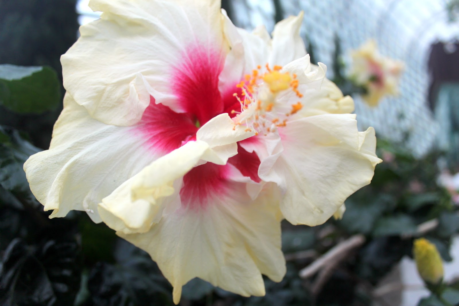 P for Phyllis: Gardens by the Bay @ Singapore