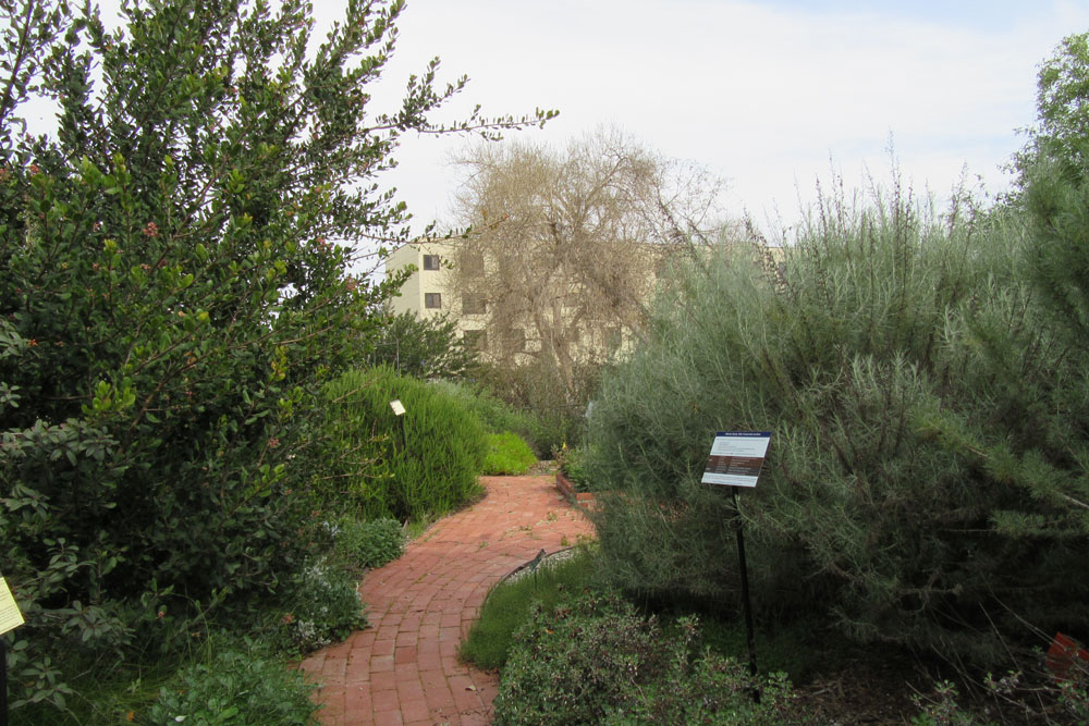 Mother Nature's Backyard - A Water-wise Garden: Current Photos of ...