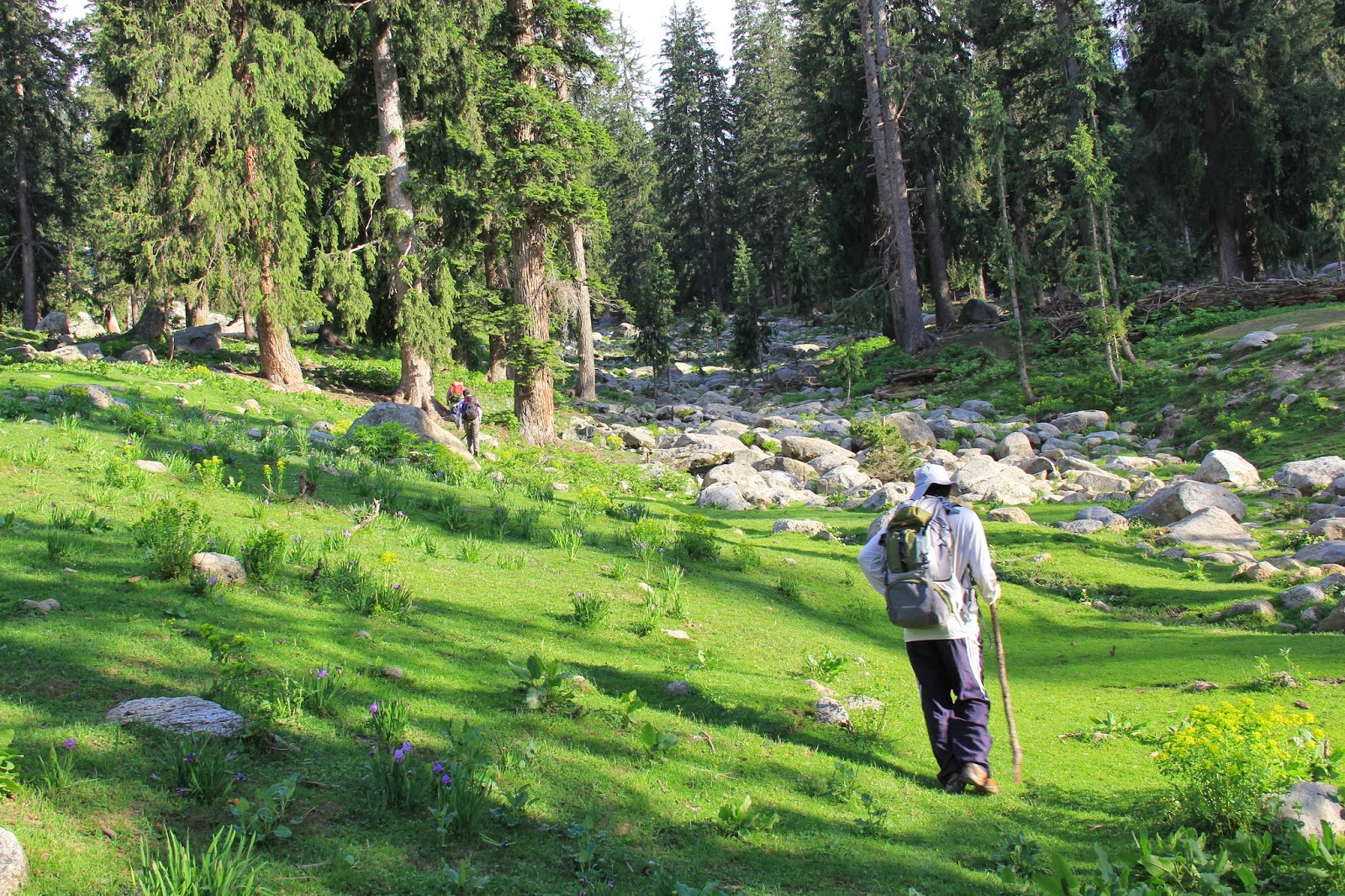 ExploreEPakistan: Beautiful Kumrat Valley Upper Dir Pakistan