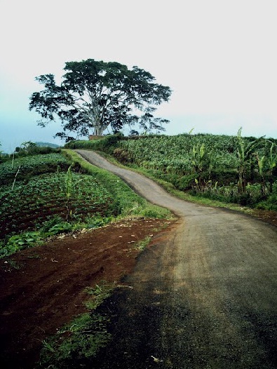 SISI KOTA BANDUNG: Cartil - Wisata Kuliner Alam di Caringin Tilu