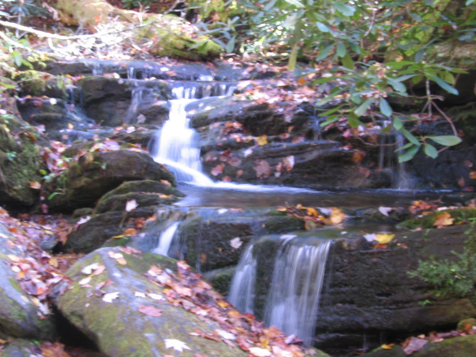 Relaxed Hiking NC: Spence Ridge Trail Linville Gorge 11/5/2011