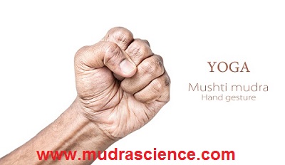 Yoga Mudra Science | Yoga Mudras | Mudra Science: Mushti Mudra - How to ...