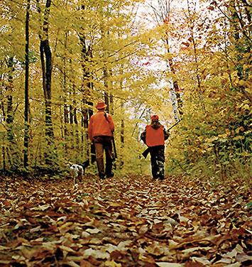 Shoot Straight : Blog: Prepare at Shoot Straight for Fall Hunting Season!