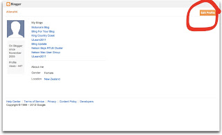 Bling For Your Blog: Adding a photo to your profile
