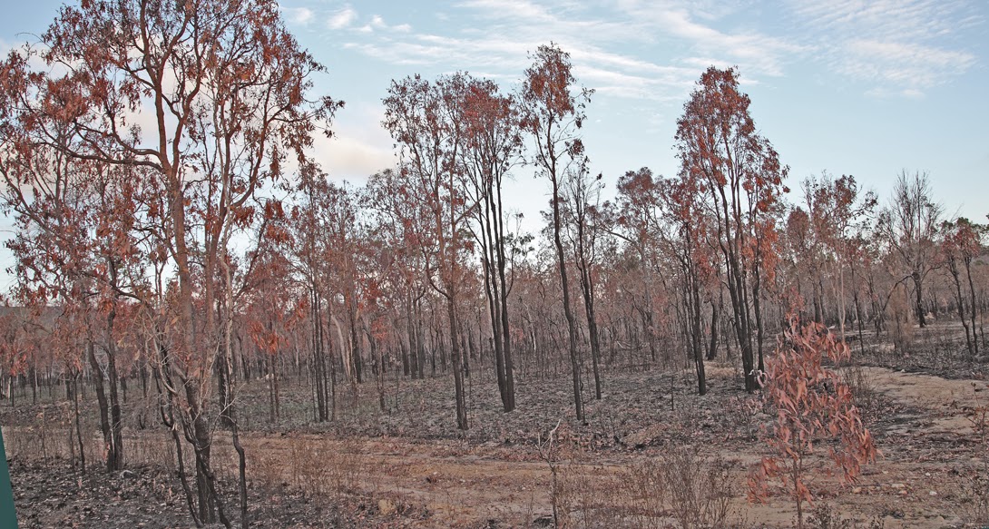 BunyipCo: October 2013