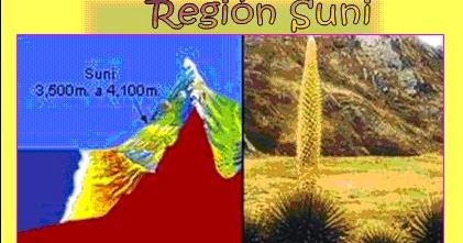 EDUCACIÓN PRIMARIA: SUNI