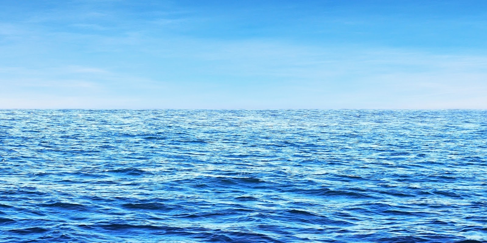 F l u x: L'OCEÀ ESTELLÉS