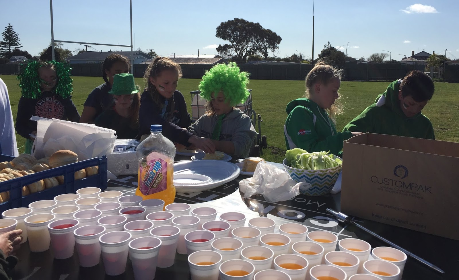 Room 8 - Halcombe School: 2018