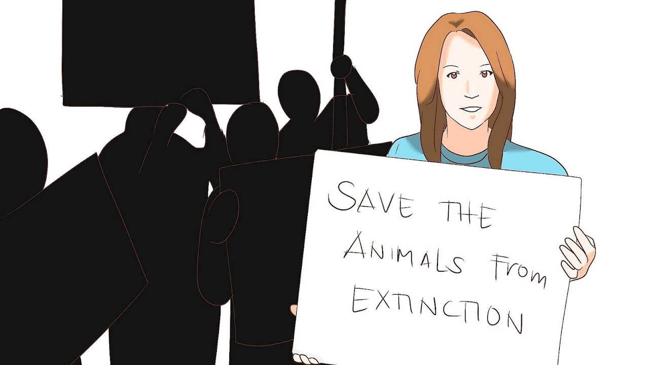 Charities That Help Endangered Animals - Danger Choices