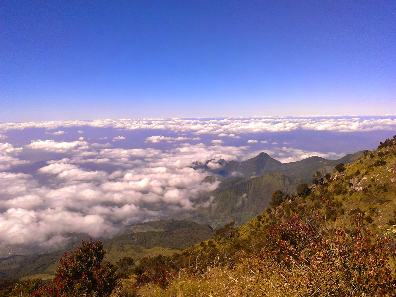 Keindahan Panorama Puncak Gunung Lawu - El Kanzu