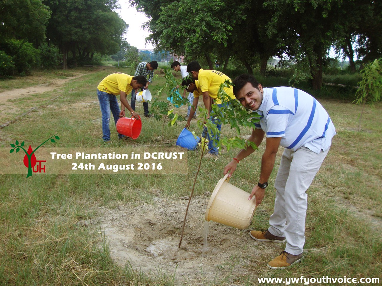 Tree Plantation Camp In DCRUST, Murthal (2016) by YWF