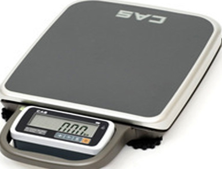 Scale Company: Exceptional Portable Bench Scale
