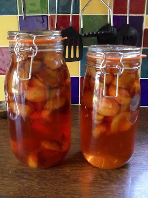 Second Hand Susie: How to Make Plum Vodka, Plum Rum (and probably any ...