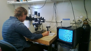 Promoting Research Investigations in the Marine Environment: Zac ...