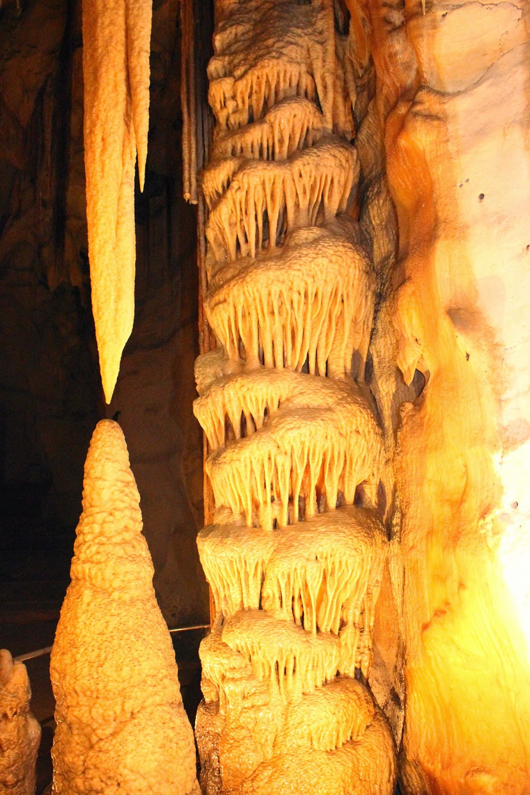 4 Stray Katz: Princess Margaret Rose Caves