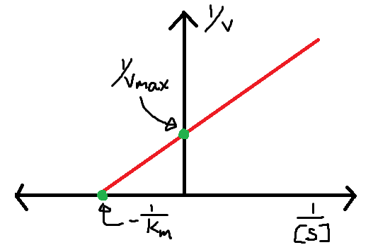 Year 11 Misadventures: Fundamental Enzyme Kinetics part 2: Kinetic ...