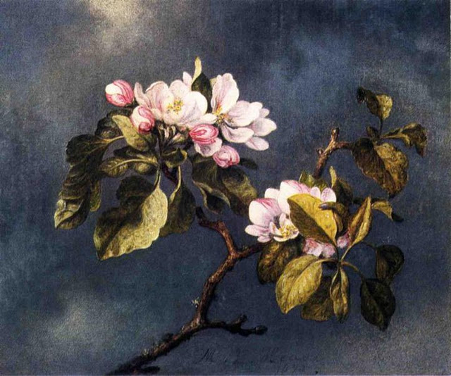 Maher Art Gallery: Martin Johnson Heade 1819-1904
