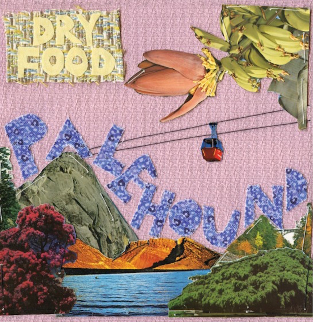 PLUS ONE MAGAZINE Palehound Dry Food ALBUM REVIEW plus-one-magazine-palehound-dry-food-album-review