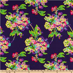 Beachnut Lane: In love with Amy Butler Designs!