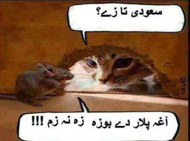 getty images and pictures: Pashto Jokes