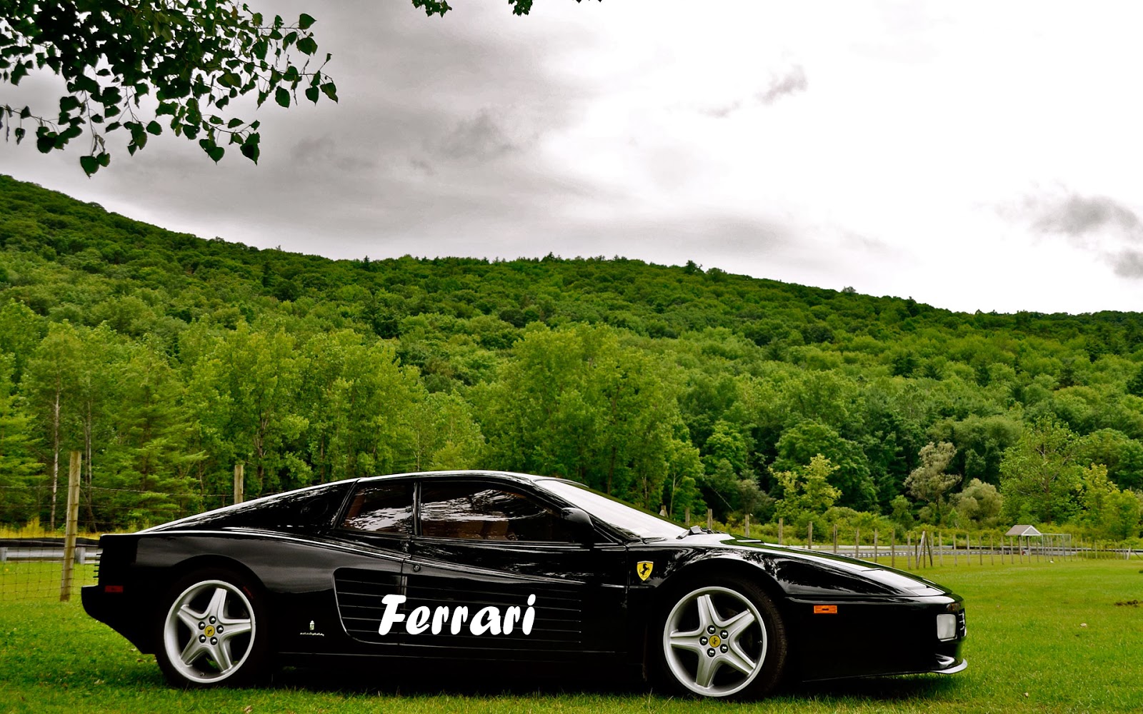 Download Best HD Wallpapers For Desktop and Mobiles: Ferrari Cars ...