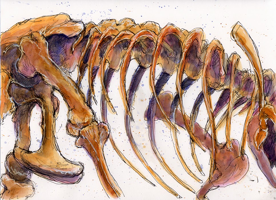 LUDstuff!: SKETCHBOOK: "More Dino Bones at Prairiefire"