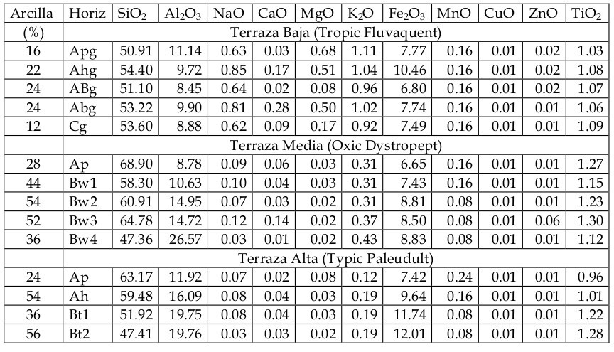 SUELOSCOPIO: Evolución del Suelo desde una perspectiva Sistémica y ...