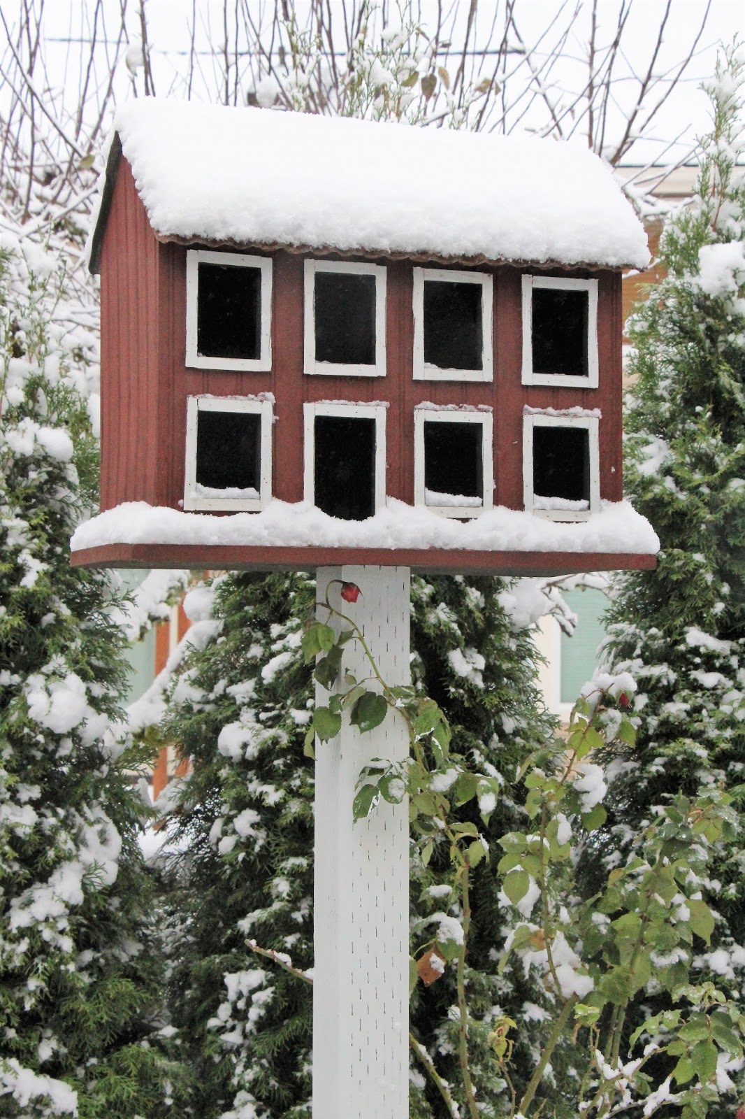 Fishtail Cottage's Christmas 2016... #5