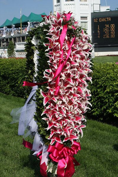 Derby Oaks Lily