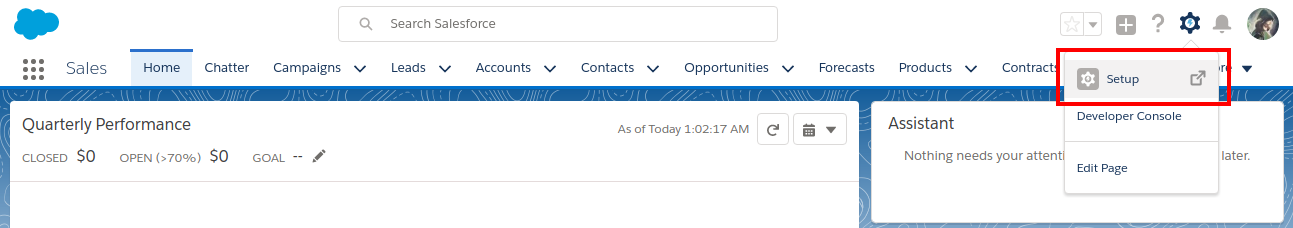 Whitelist IP Address in Salesforce