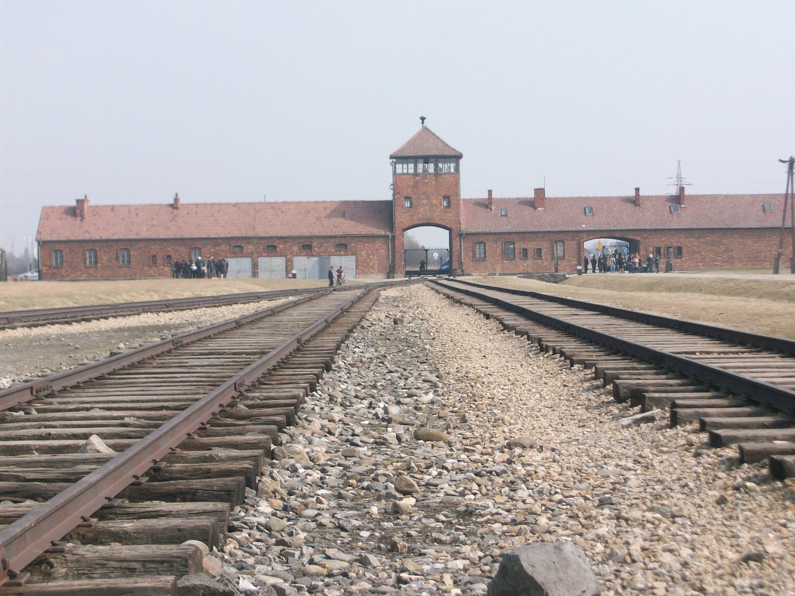 Proyecto Leonardo.: Auswitch