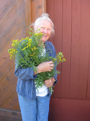 Always, Robins Egg Blue