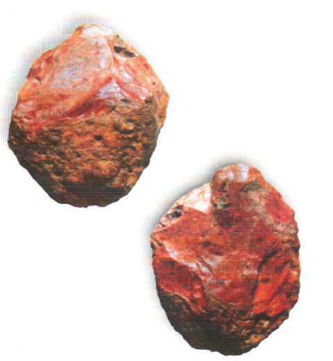 PERKEMBANGAN TEKNOLOGI ZAMAN PRASEJARAH (Antara Batu dan Tulang)