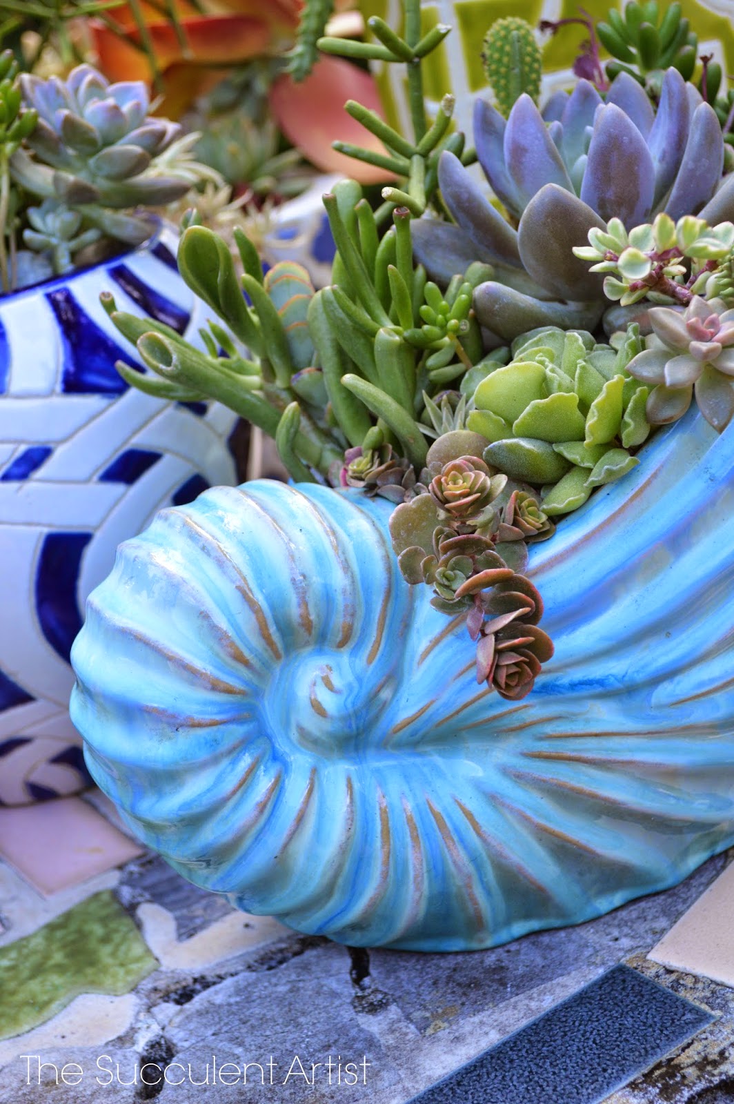 Unique Succulent and Cacti Planters: Think Outside the Box