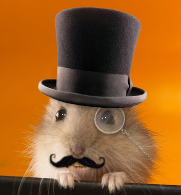 Funny Animals: Funny Hamsters With Guns