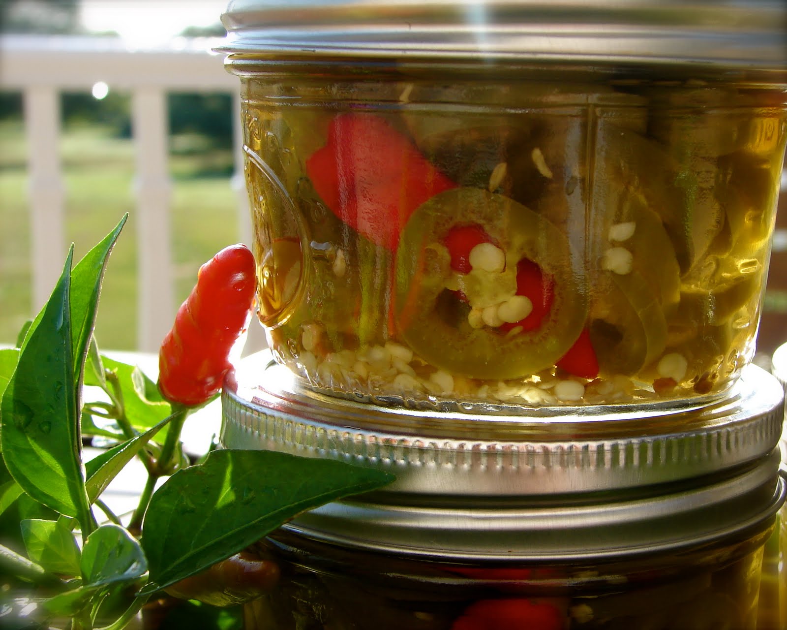 COSMOGIRL'S EMPORIUM: Pickled Peppers