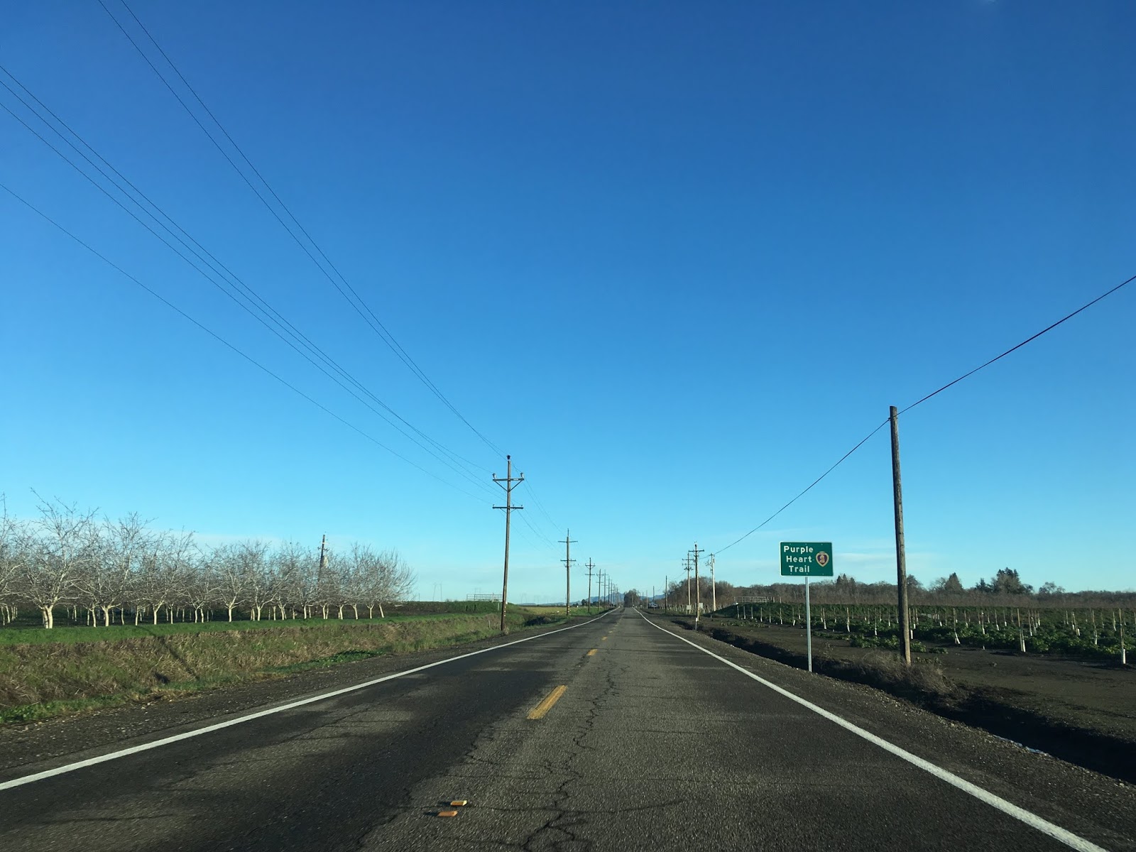 California State Route 45