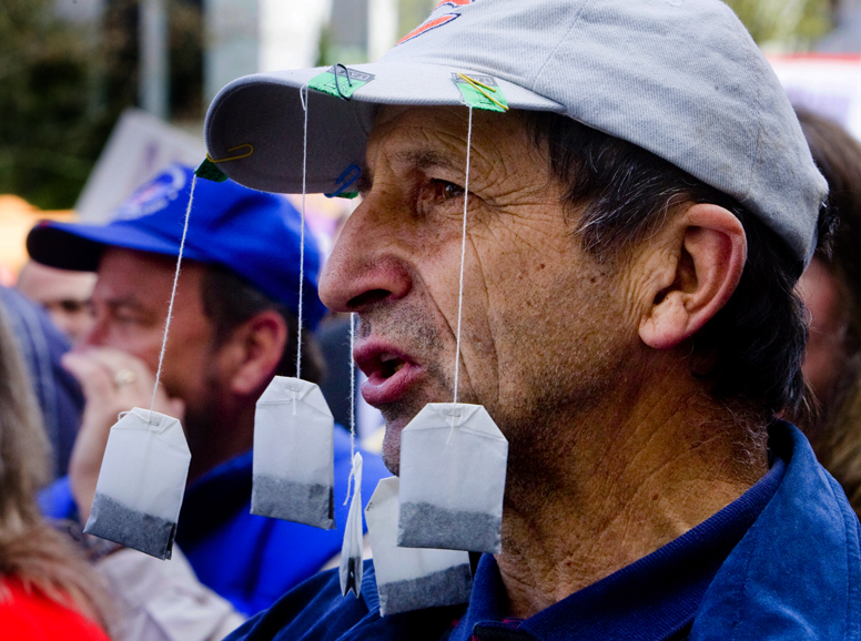 Ponderings of a Pothead