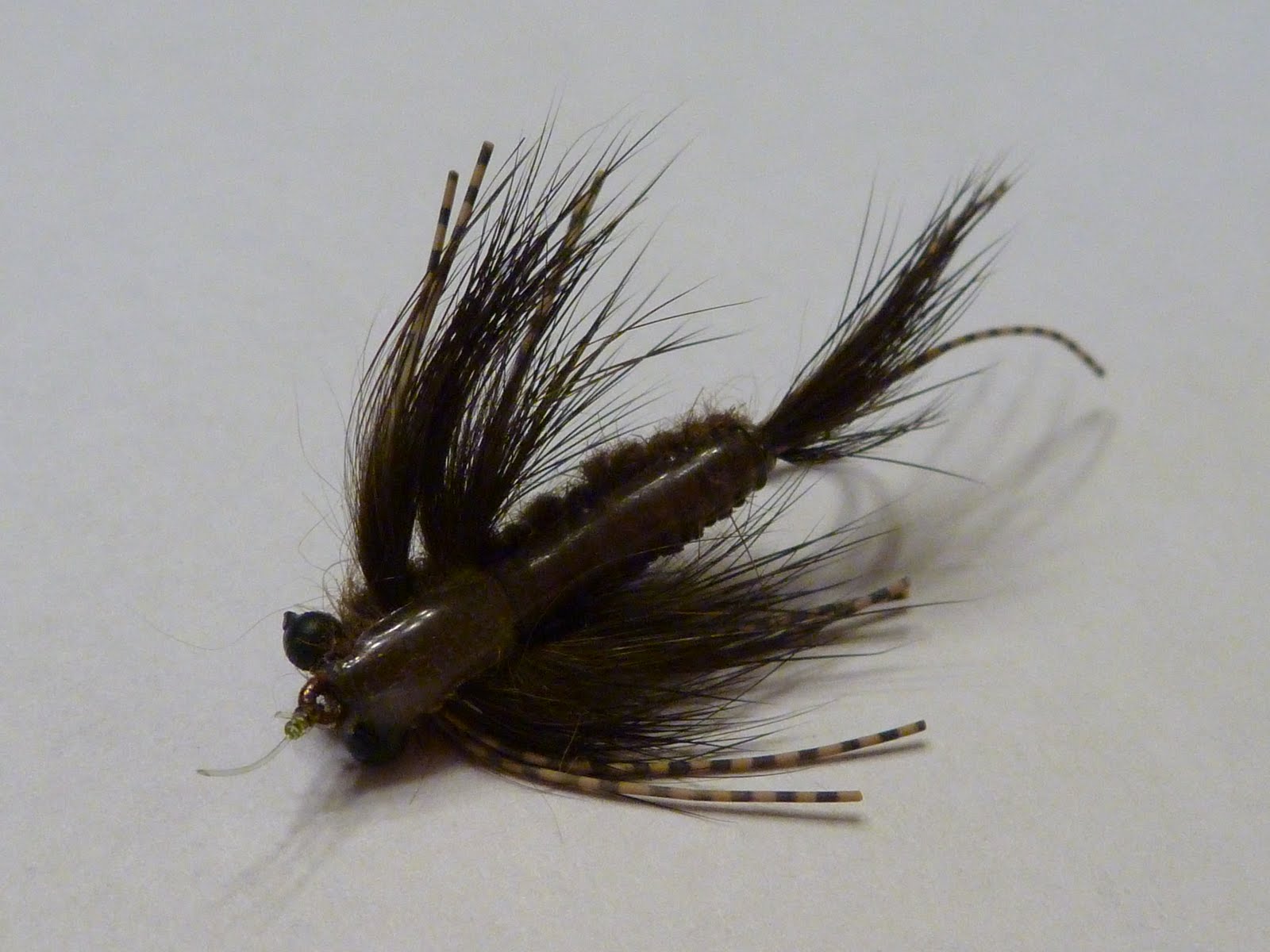 This River is Wild: Carp Flies