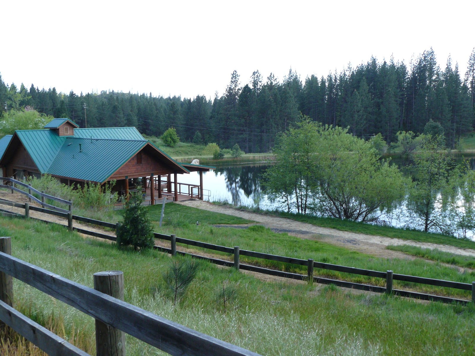 Starring Scarlett: Camp Okizu