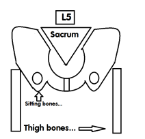 The Natural BodyWorks Parker Blog: Low back pain from Pelvis and sacrum