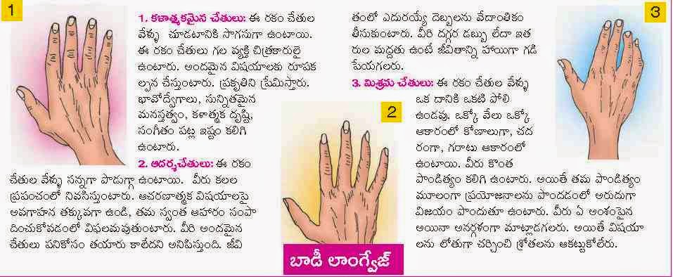CHODAVARAMNET: KNOW YOUR BODY LANGUAGE - KNOW YOUR HANDS TYPES AND NATURE