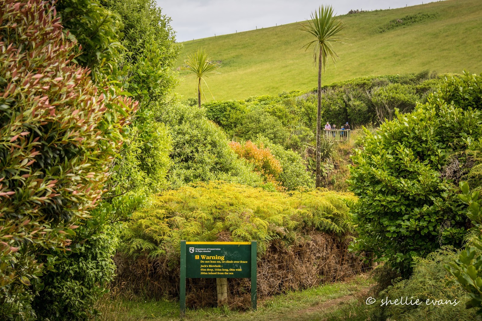 Two Go Tiki Touring: 'Monsters' From the Sea- Catlins; Part 2