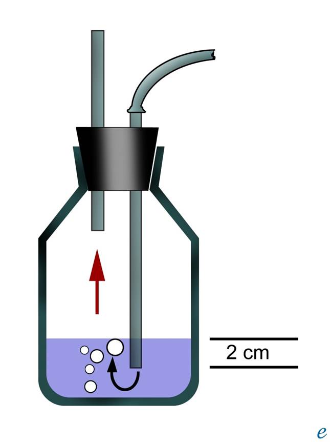 Bintang Kejora: Water Seal Drainage ( WSD )